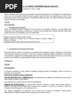 Actividades de Ortografía Quinto Grado | PDF | Puntuación | Ortografía