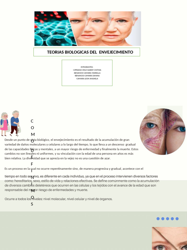 tEORÍA DEL ENVEJECIMIENTO 2 | PDF | Envejecimiento | Adn
