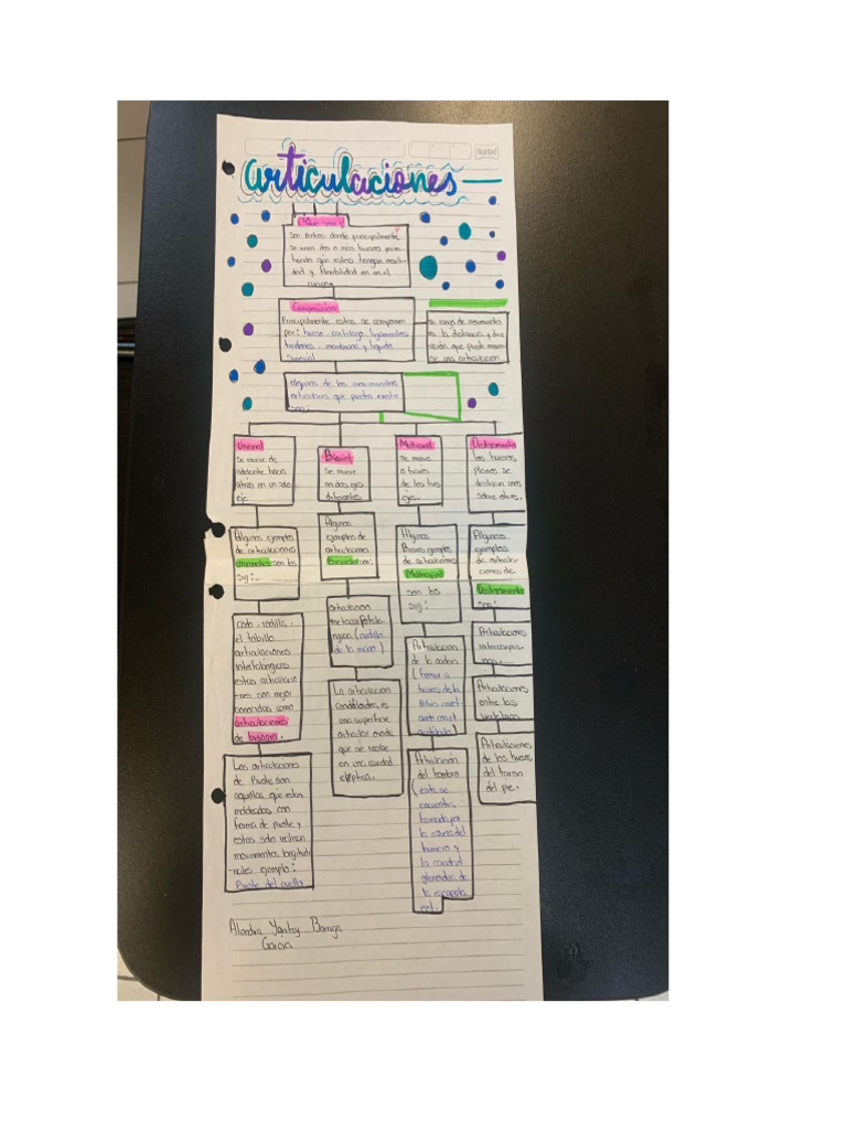 Anatomia Yaritzy | PDF