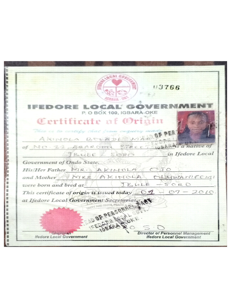 Local Government of Origin | PDF