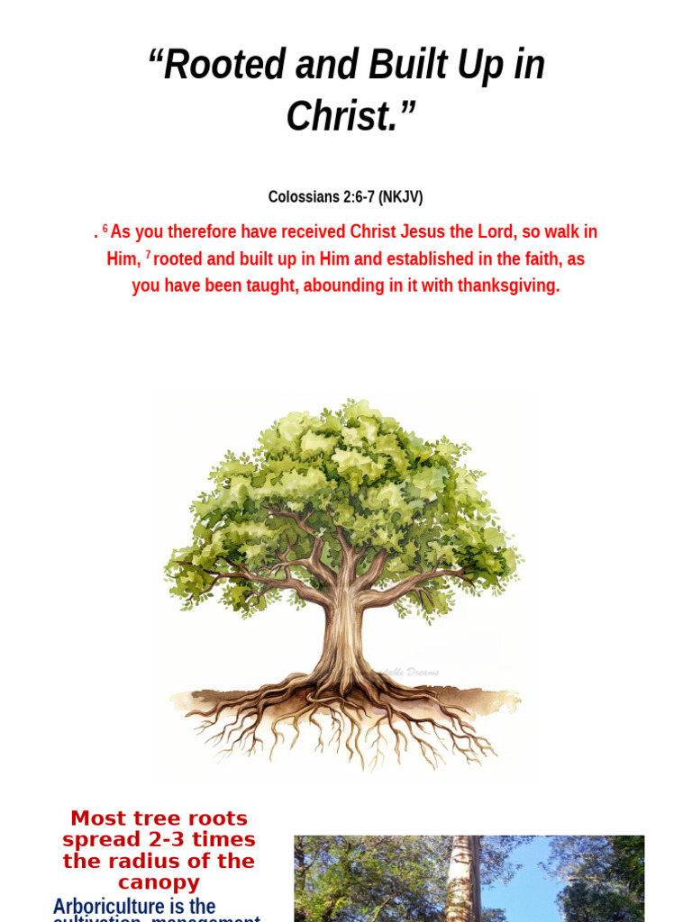 Rooted in Christ: Faith and Growth | PDF | Jesus | Christian Belief And ...