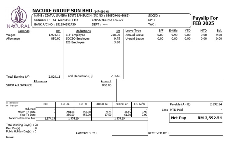 Payslip Feb 2025 | PDF