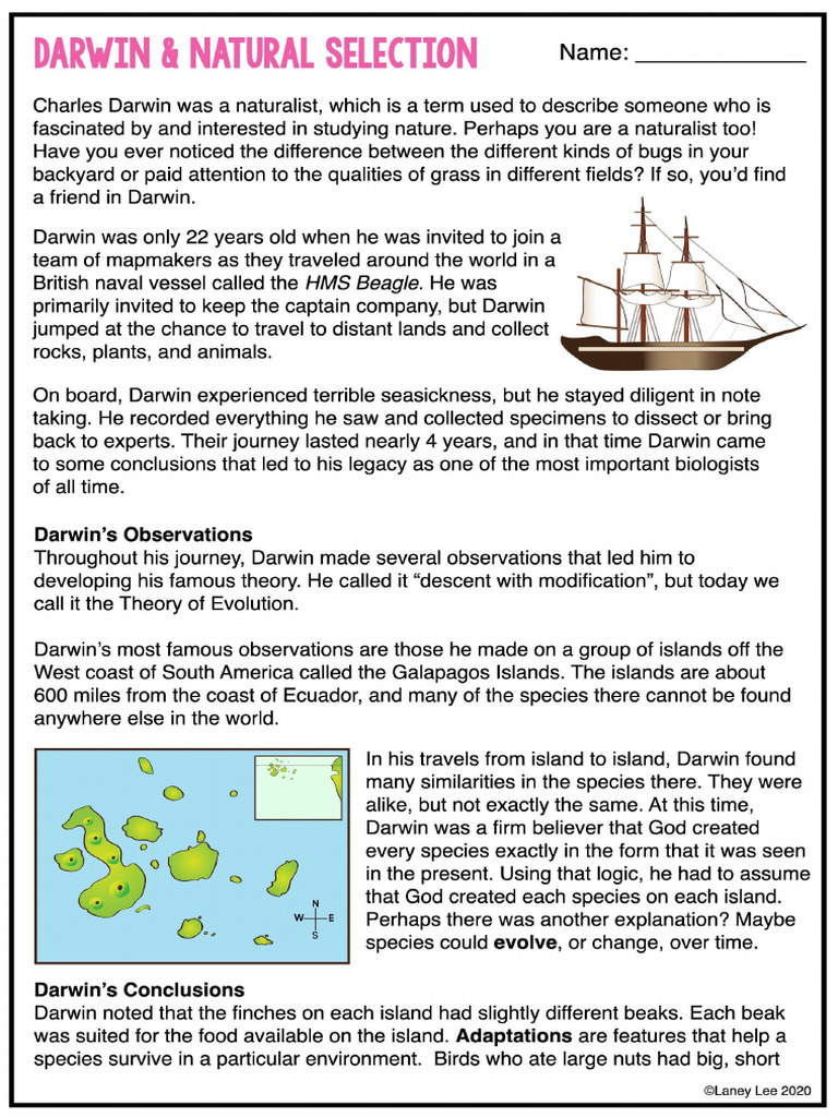 Darwin & Natural Selection - GOOGLE | PDF