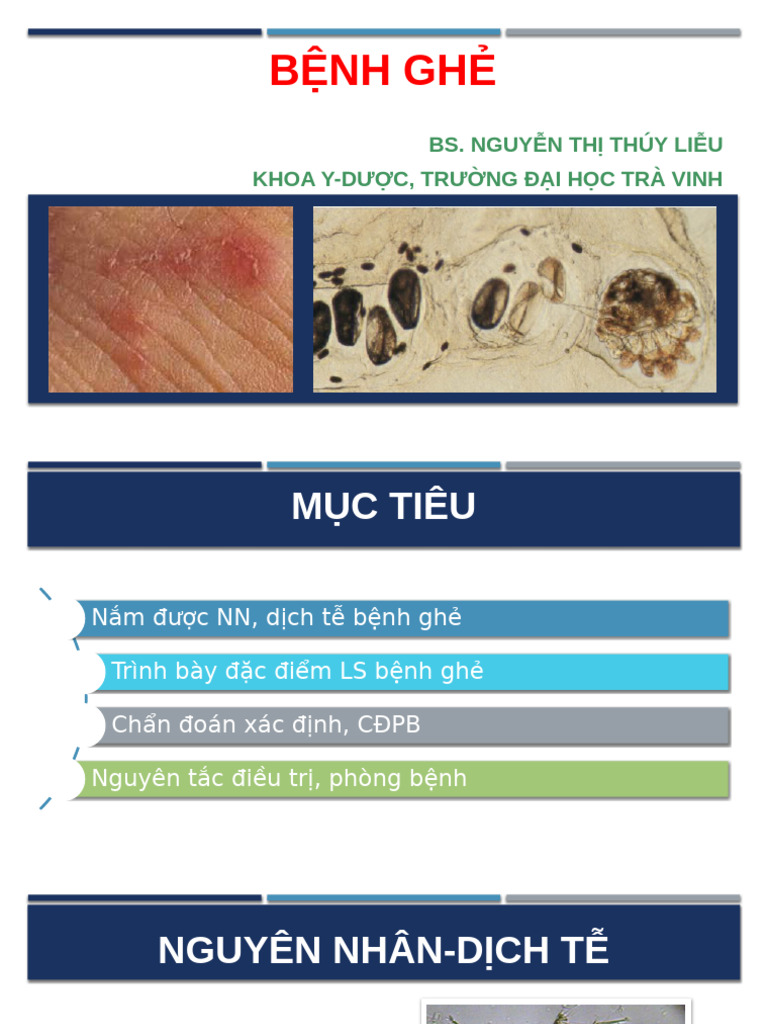 Scabies Rhm (1) | PDF
