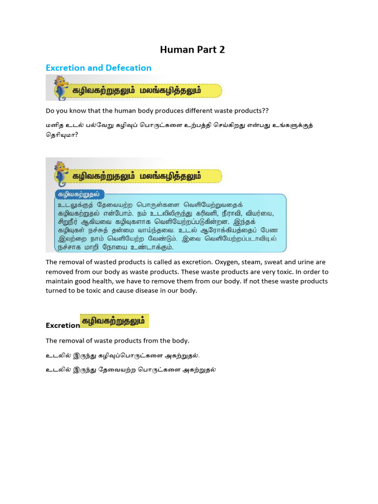 STANDARD 4 SCIENCE NOTES CHAPTER 2 Human Part 2 - TAMIL | PDF