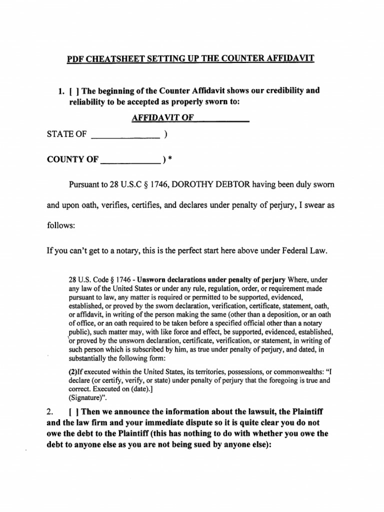 Cheatsheet Setting Up The Counter Affidavit 5 | PDF