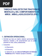 PSC 17 Spanish | PDF