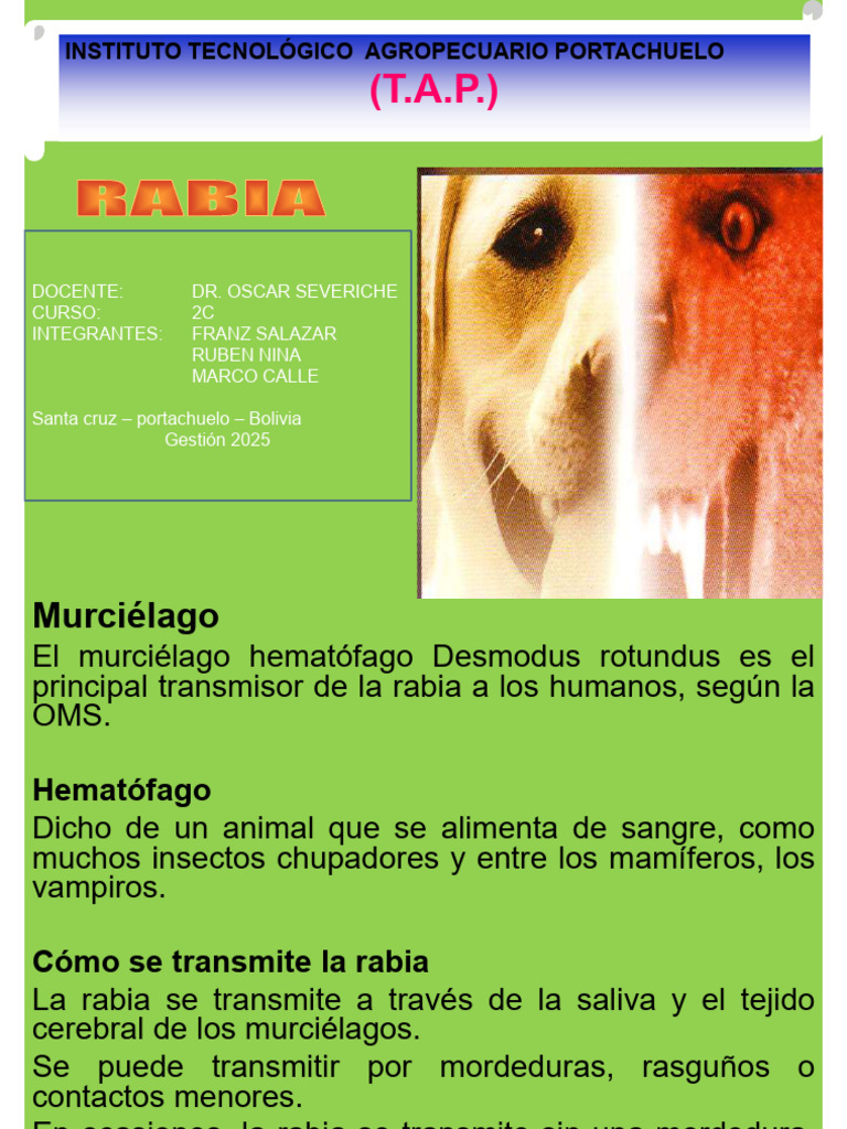 Tema La Rabia | PDF | Rabia | Inmunología