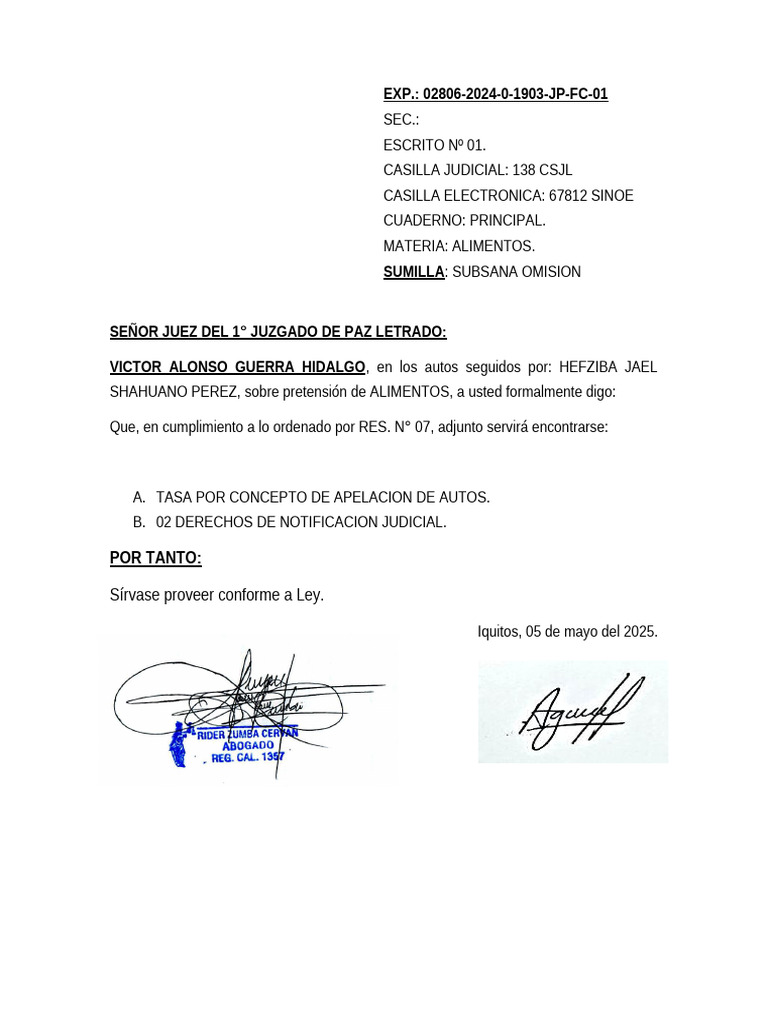 Subsana Omision - Victor Alfonso Guerra Hidalgo | PDF