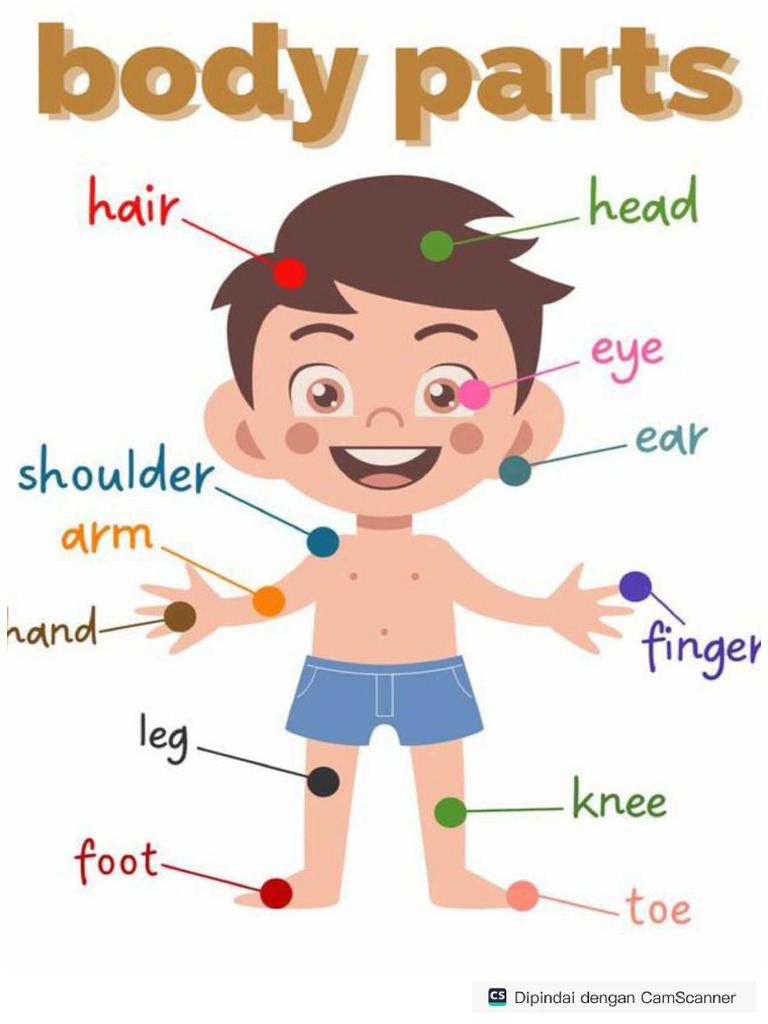 Part of The Body | PDF