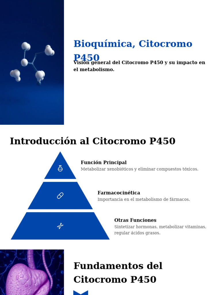 Bioquímica, Citocromo P450 | PDF