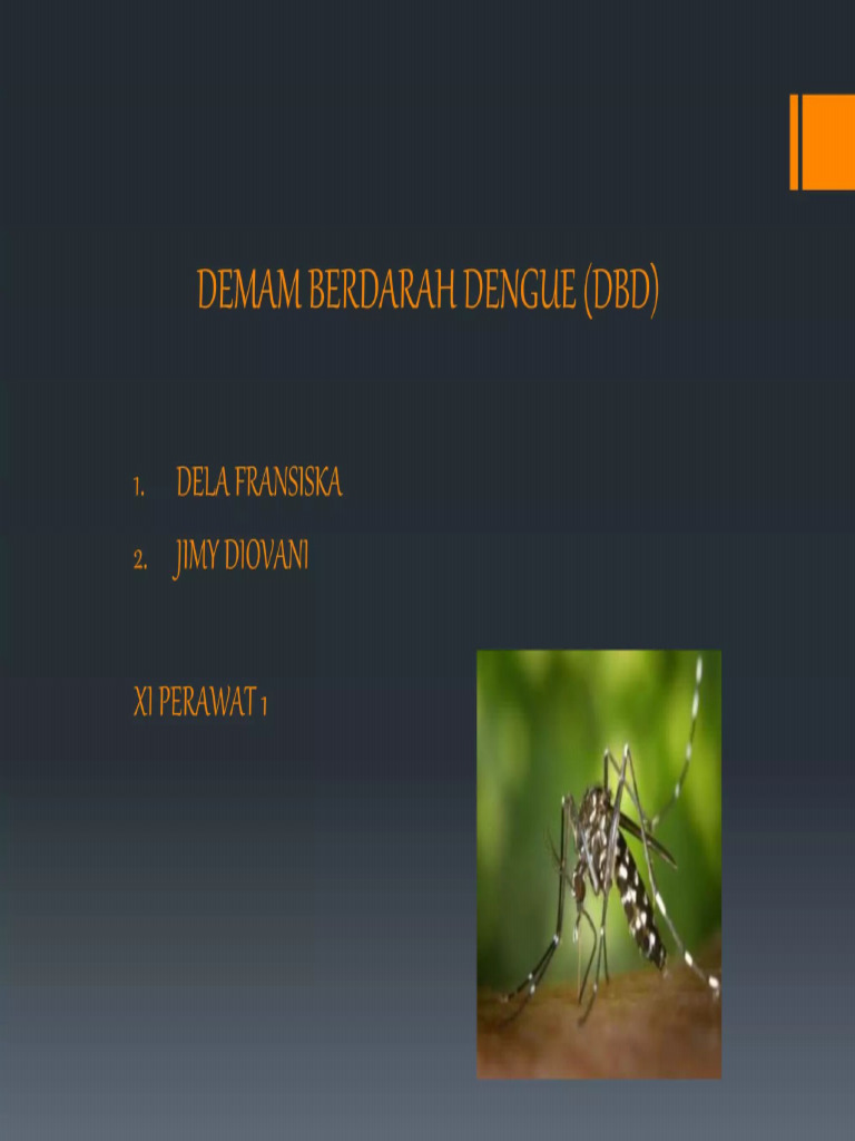 Demam Berdarah | PDF