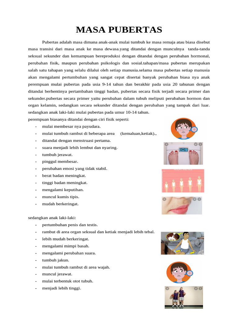 pubertas adalah | PDF
