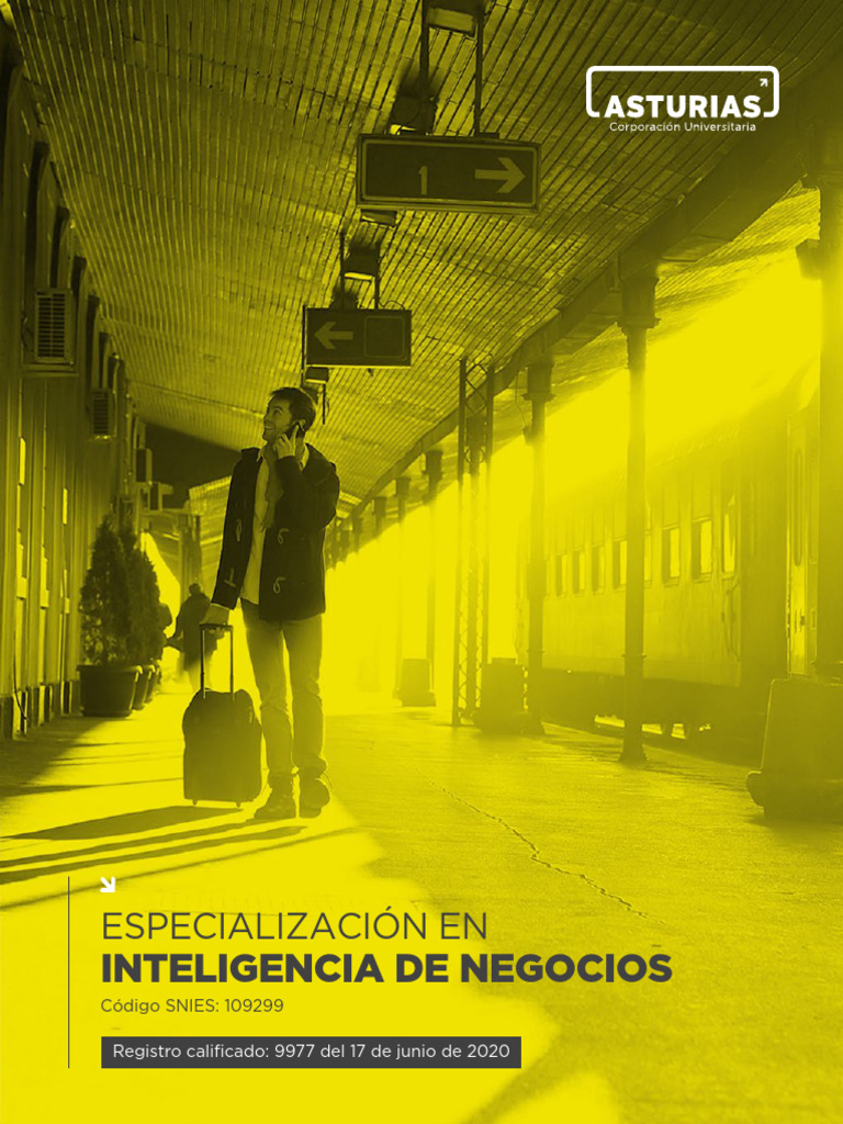 Especializacion en Inteligencia de Negocios | PDF | Inteligencia de negocios | Big Data