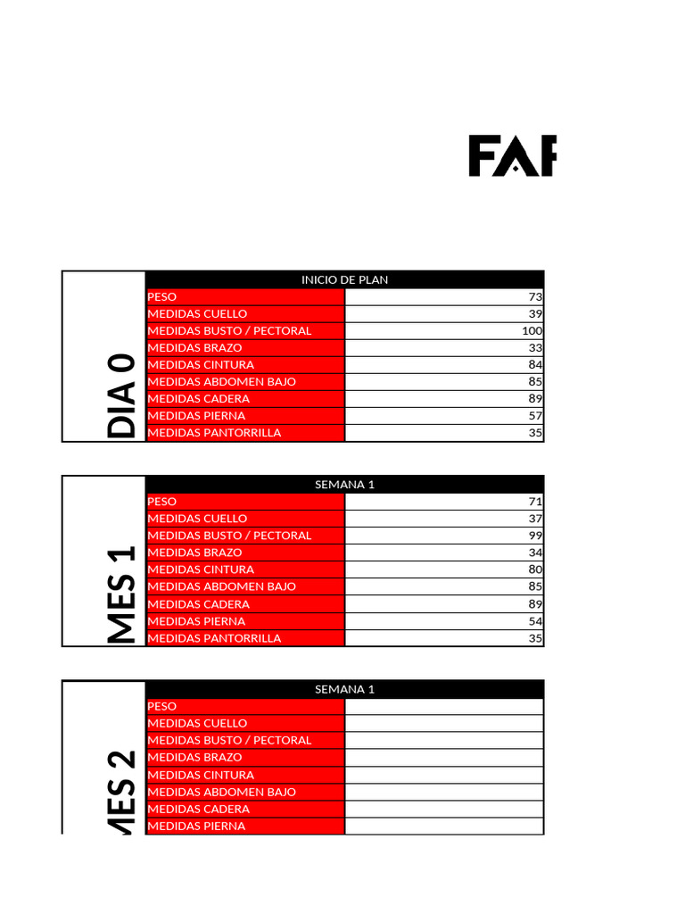 Reporte Coaching Farid Naffah | PDF