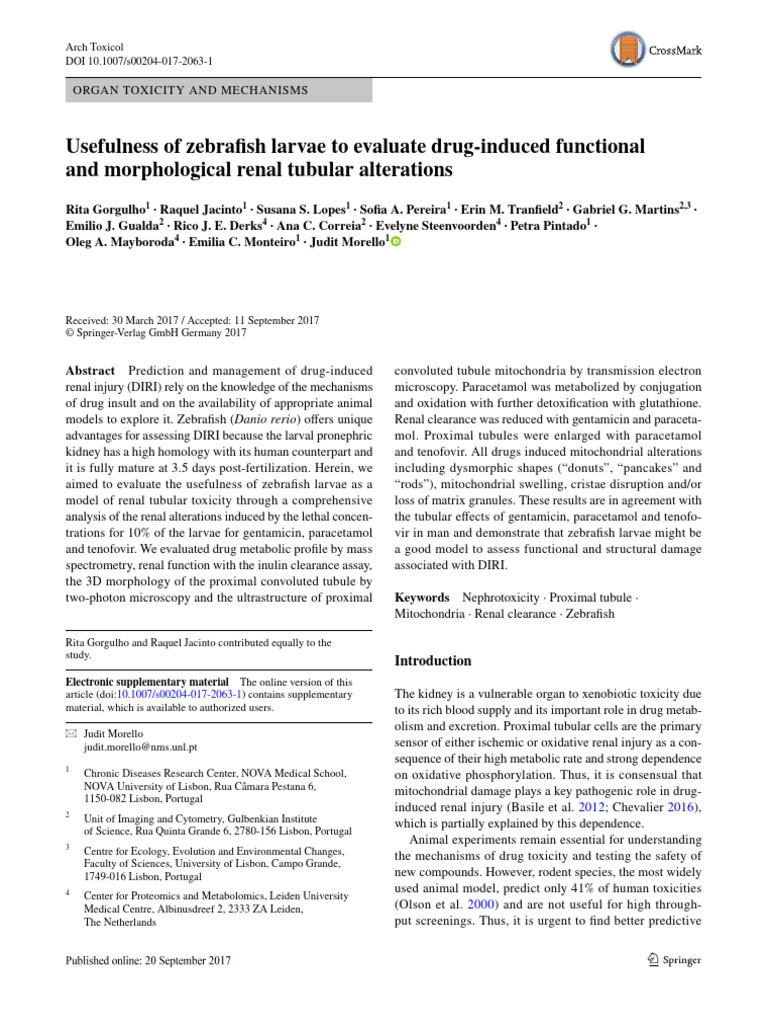 Usefulness of Zebrafish Larvae To Evaluate Drug Induced Toxicity | PDF ...