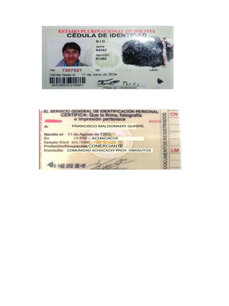 Car Nets | PDF