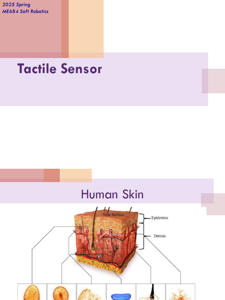 Lec07 Tactile Energy Color | PDF | Reflection (Physics) | Eye