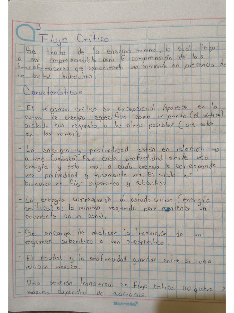 Resumen Flujo Crítico | PDF