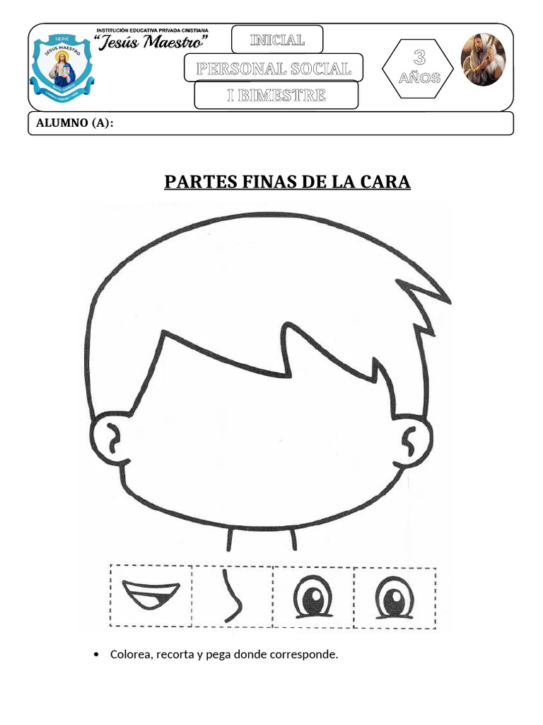 PARTES DE LA CARA | PDF