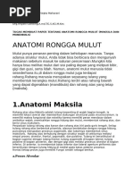 Anatomi Maksila & Mandibula | PDF