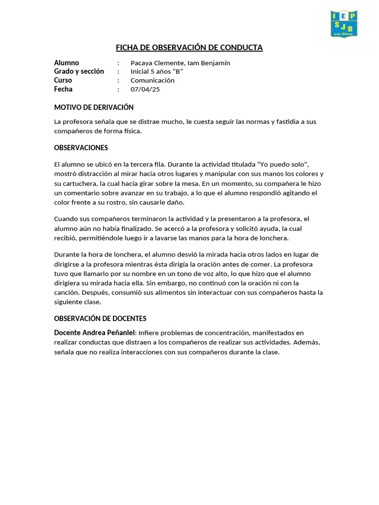 Formato de Observación de Conducta | PDF