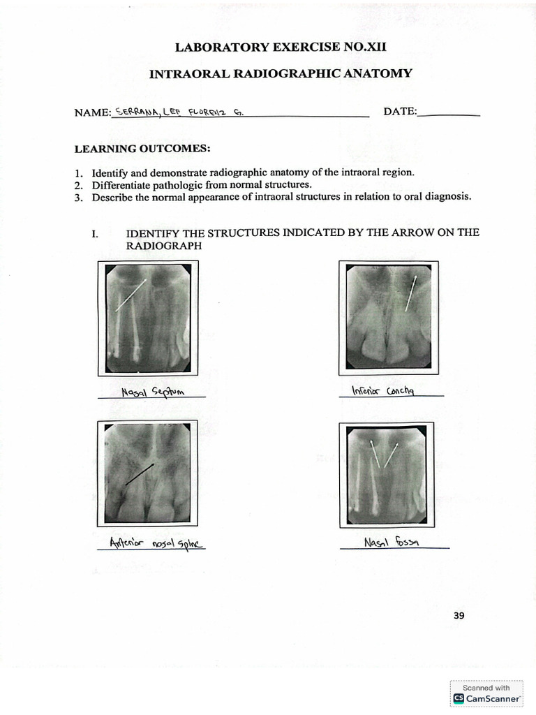 Lab. Exercise No. Xii | PDF