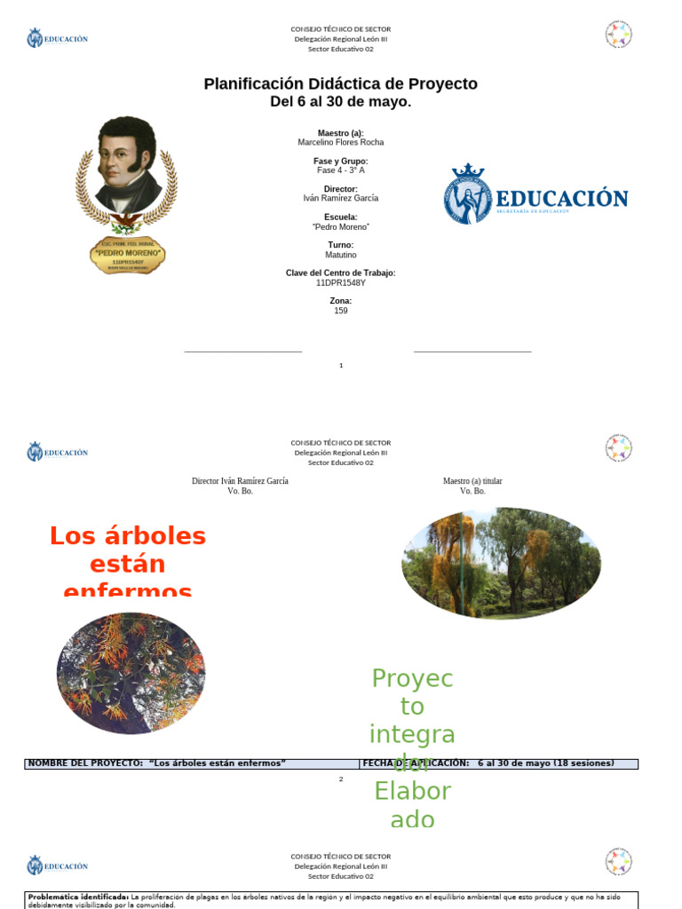 FORMATO PROYECTO INTEGRADOR 3ro | PDF | Comunidad | Entorno natural
