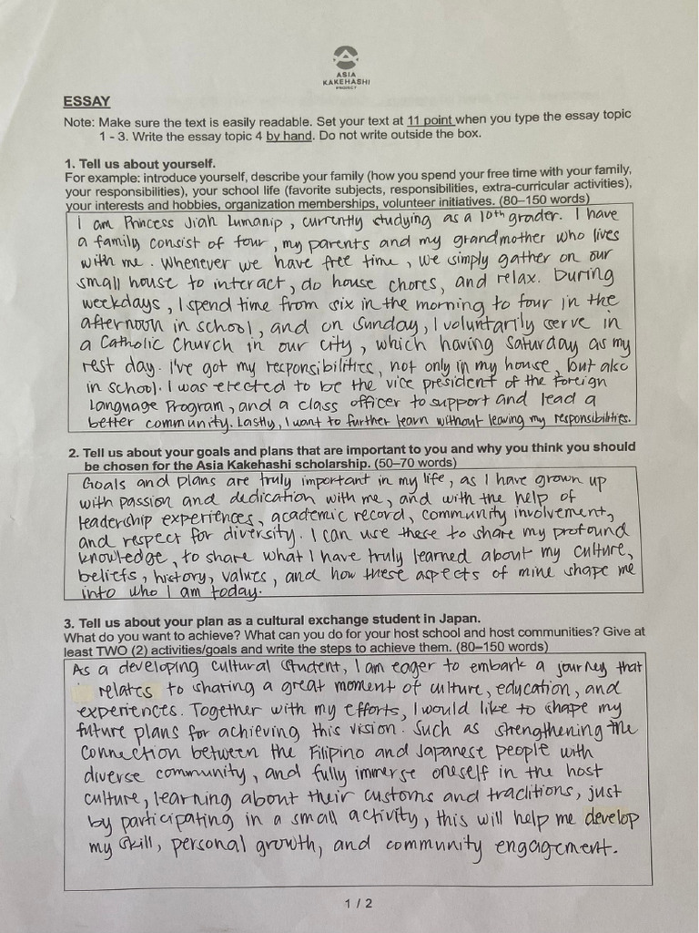 ESSAY | PDF