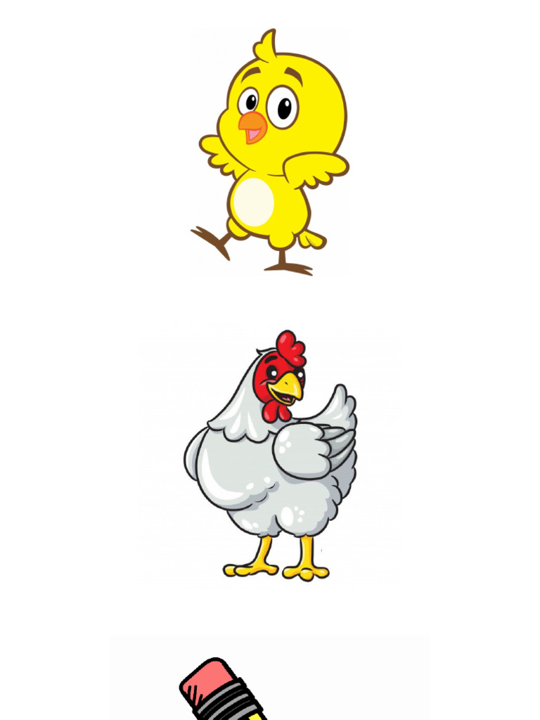 Pollito Chicken | PDF