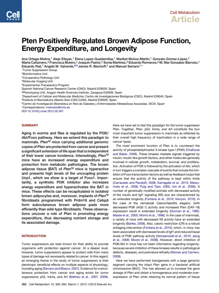 Pten Positively Regulates Brown Adipose Function | PDF | Pten (Gene ...