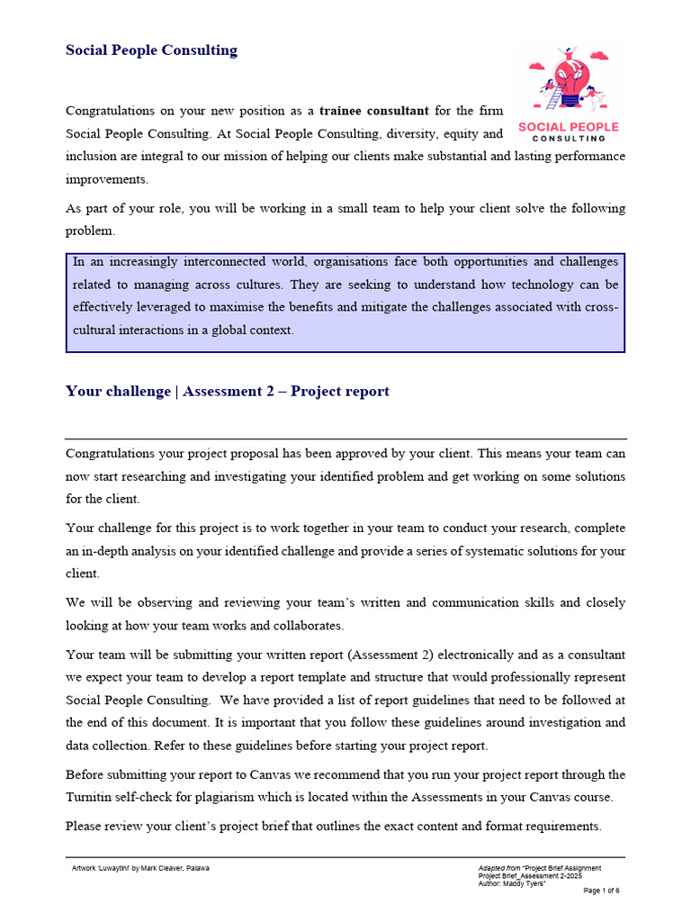 Project Brief - Assessment 2-2025 | PDF