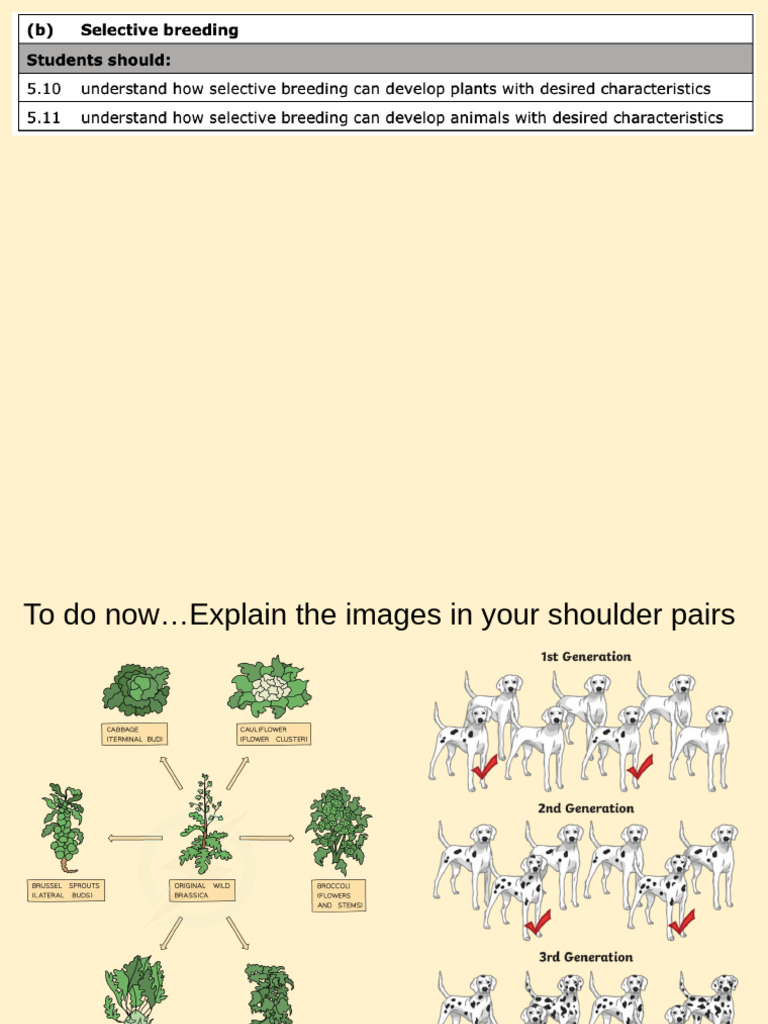 0.9 Selective Breeding | PDF