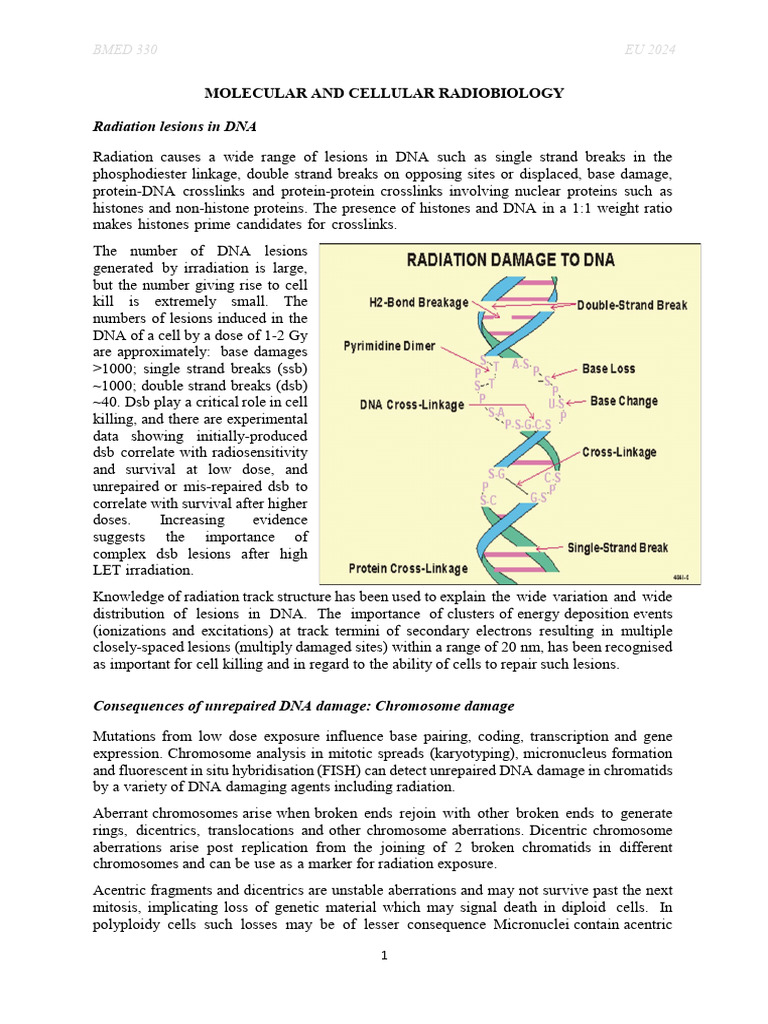 02b - Molecular and Cellular Radiobiology | PDF | Radiation Therapy ...