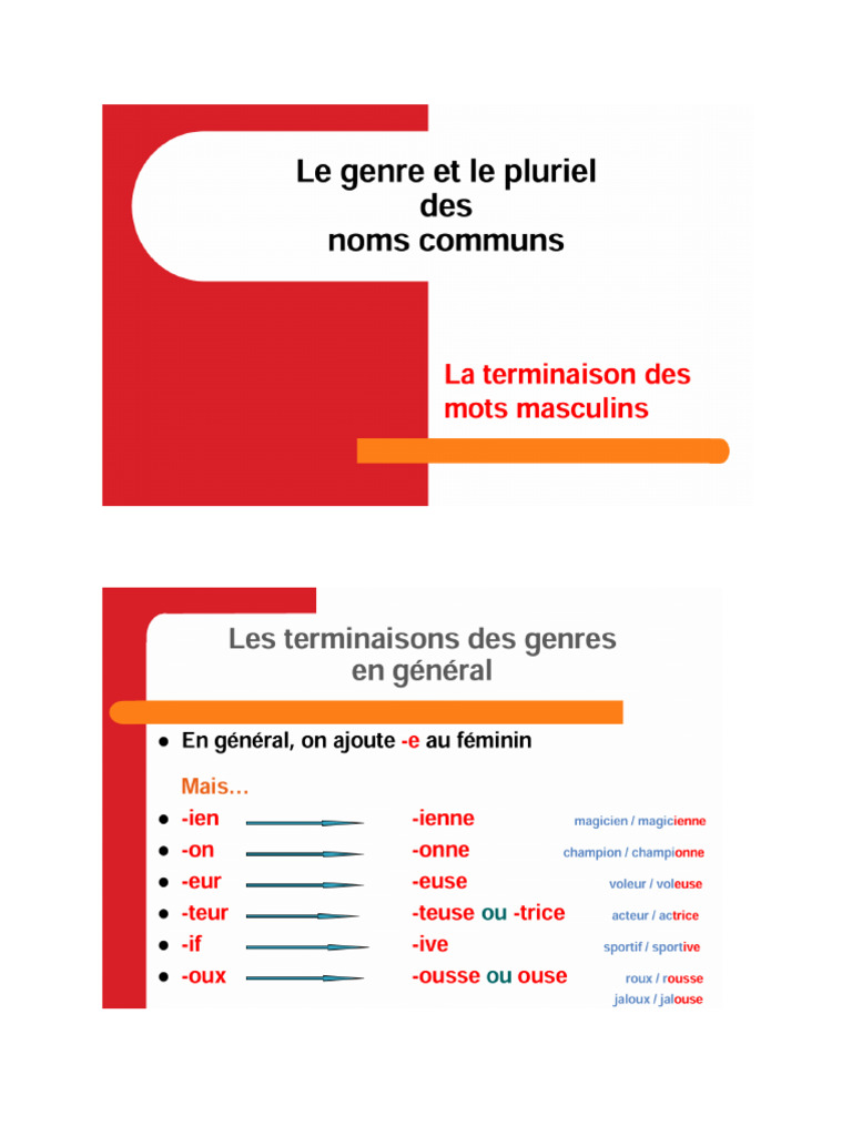 Le Genre Et Le Pluriel Des Noms Communs Max | PDF