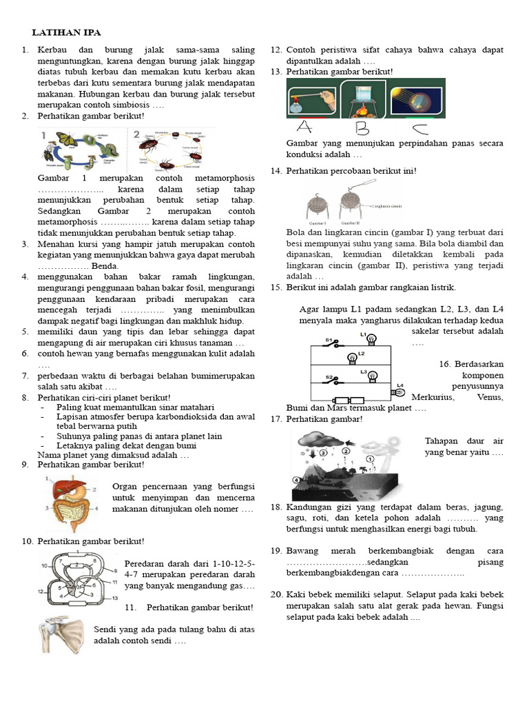 Latihan Ujian Sekolah Ipa Pjok | PDF