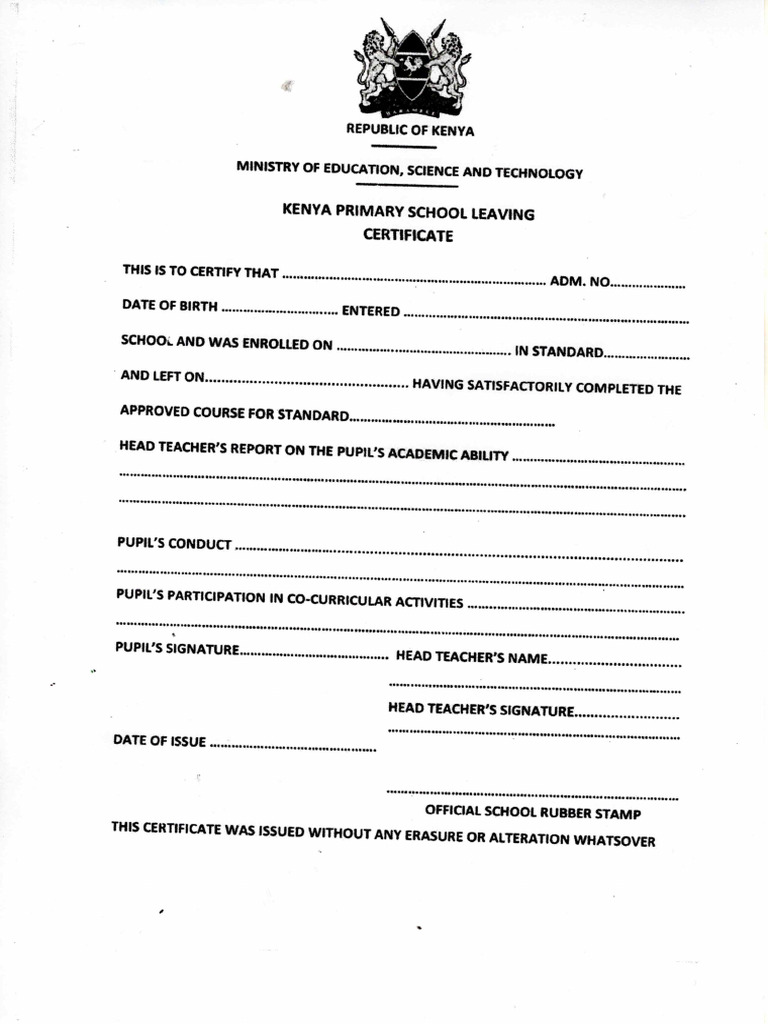 Primary Leaving Cert | PDF