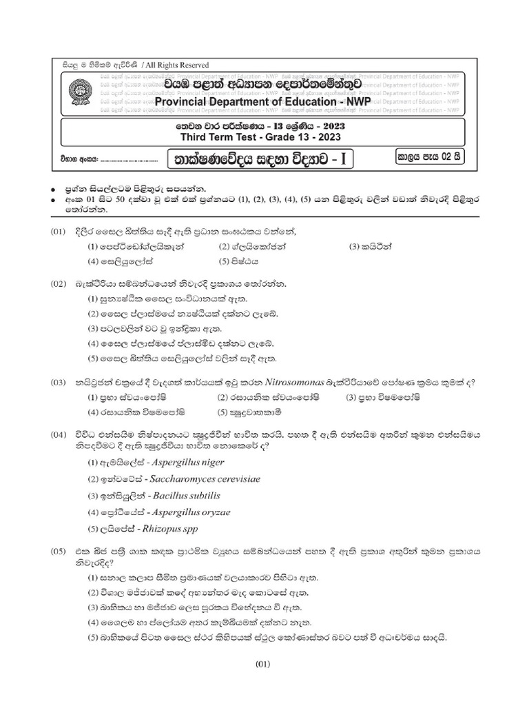 SFT - 2023 G13 3rd Term Paper | PDF