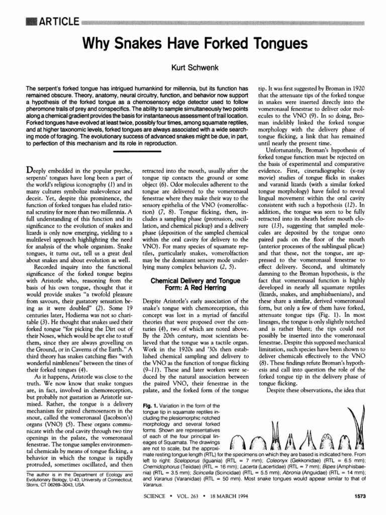 Why Snakes Have Forked Tongues | PDF | Snake | Squamata