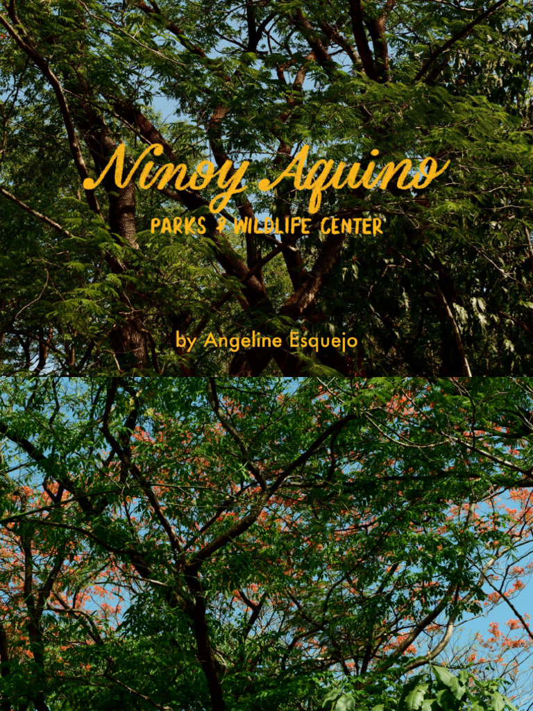 Activity2_Esquejo | PDF