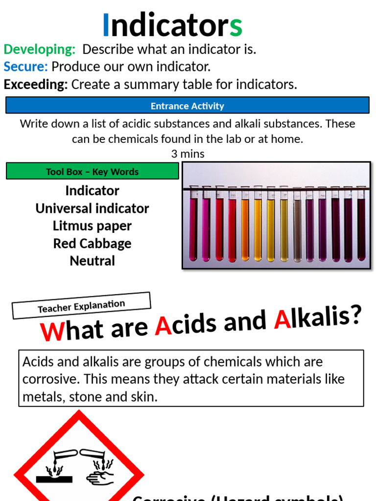 Lesson 3 Indicators | PDF