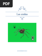 Ciclo de vida y reproducción de arañas | PDF | Araña | Huevo