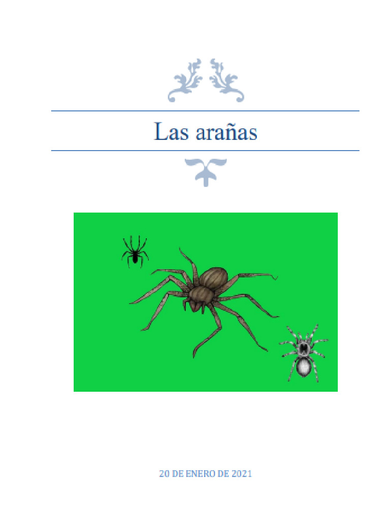Características y tipos de arañas | PDF | Araña