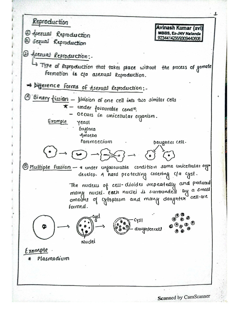Reproduction Class 10 (Mobius) | PDF