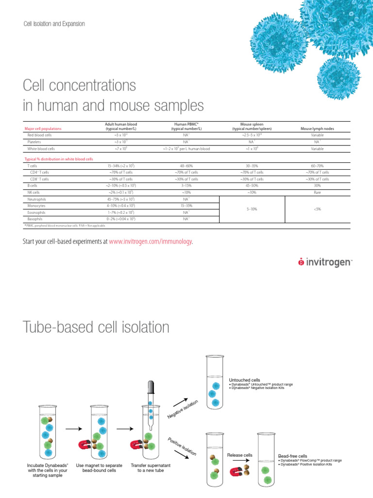 I-076357 Cell Count Table Topp - WEB | PDF | White Blood Cell | Hematology