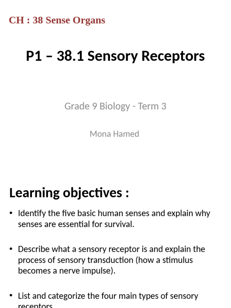 Sensory - Receptors - and - Chemical - Senses - Grade9 Term3 | PDF ...
