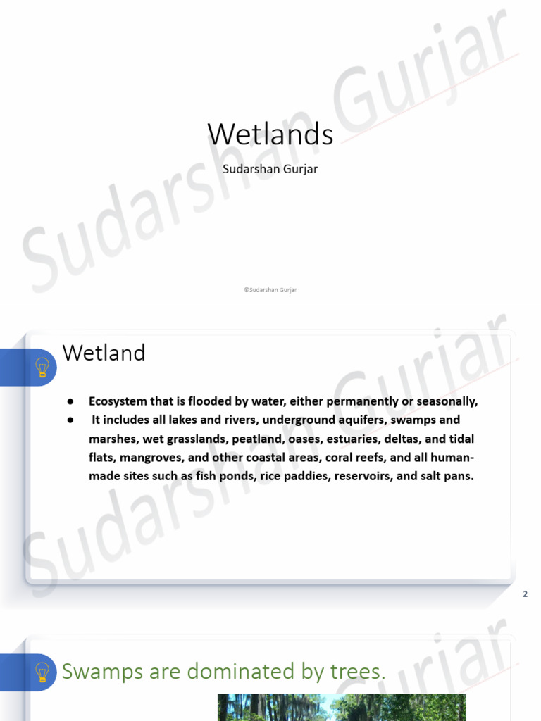 Ramsar Wetlands Updated 2025 1743449449513 | PDF | Wetland | Swamp