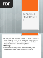Biomanbio Succession Interactive | PDF | Flowers | Earth Sciences