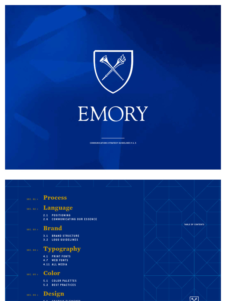 emory-communication-strategy | PDF | Autism