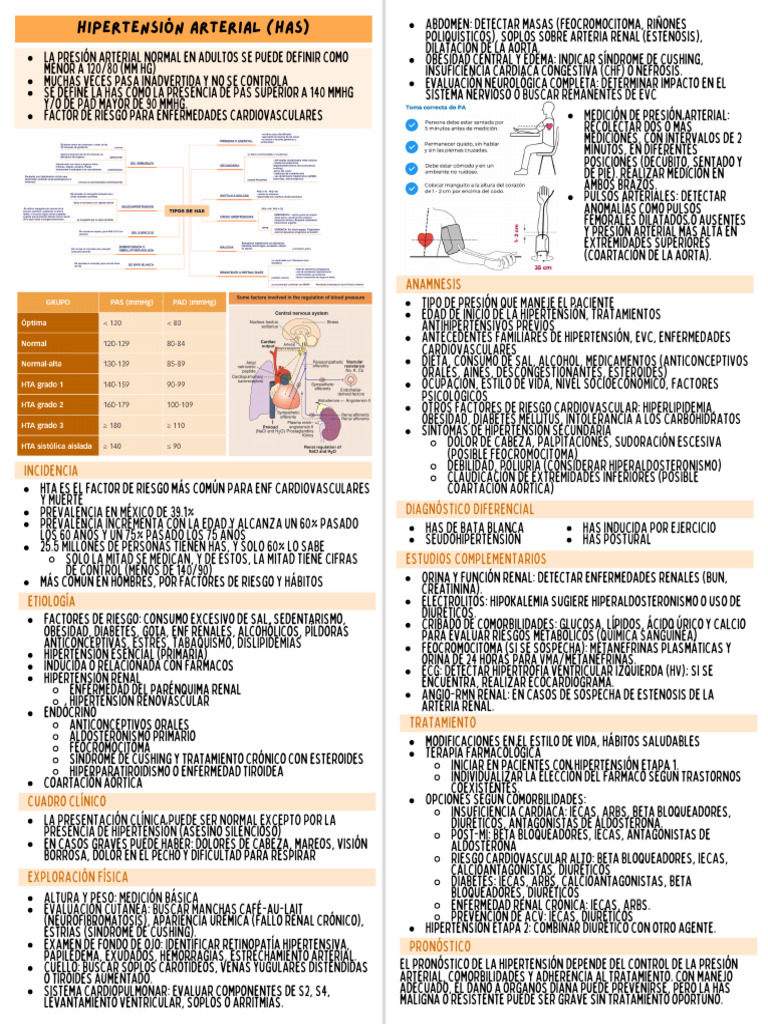 HTA | PDF | Hipertensión | Enfermedades cardiovasculares